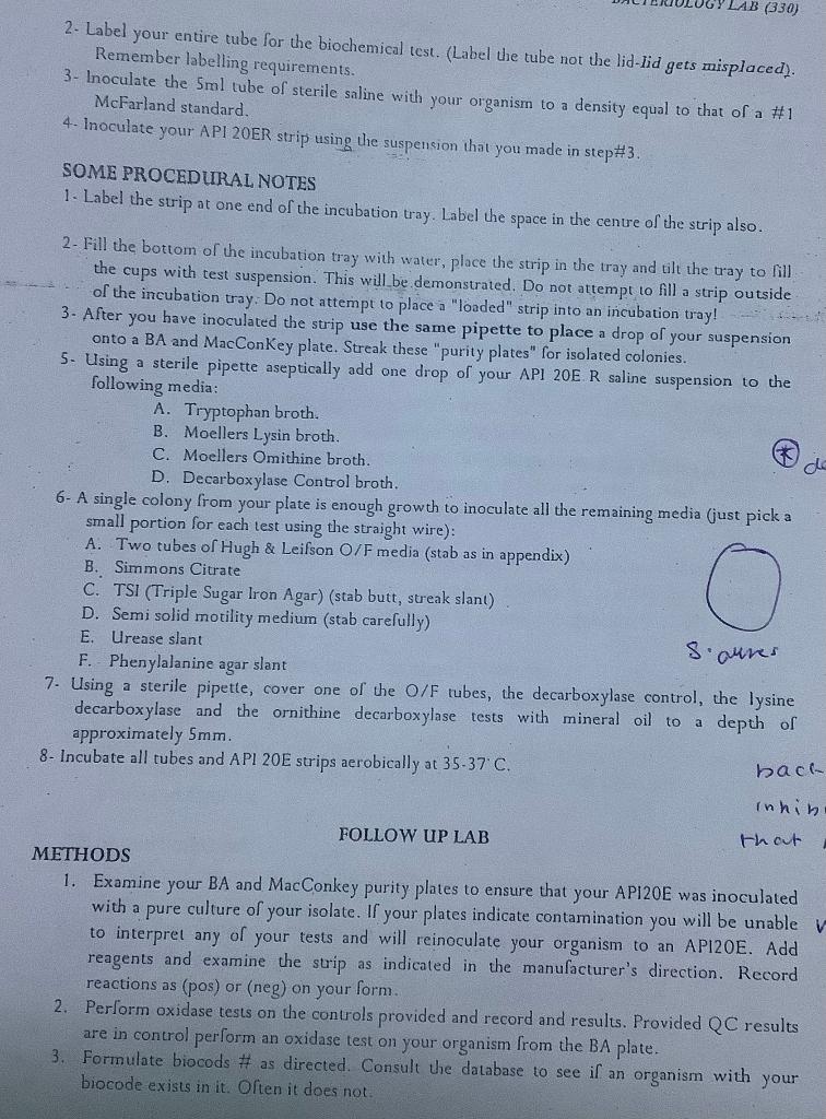 Experiment / biochemical test Write an introduction | Chegg.com