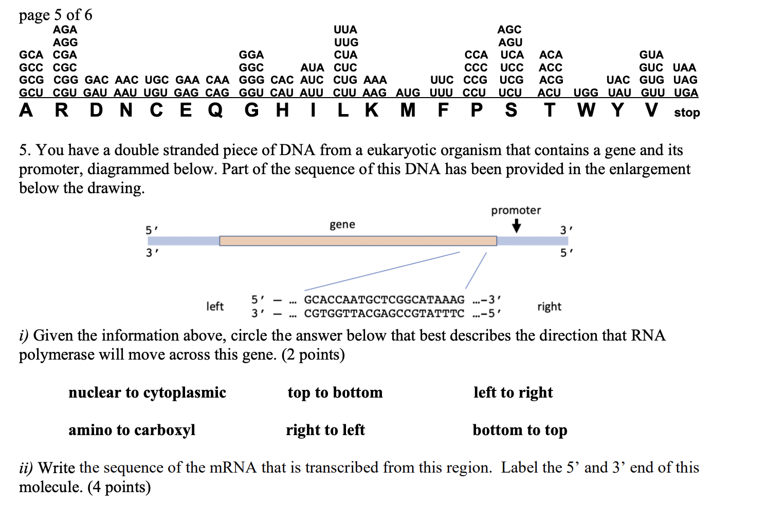 Solved 5. You have a double stranded piece of DNA from a | Chegg.com