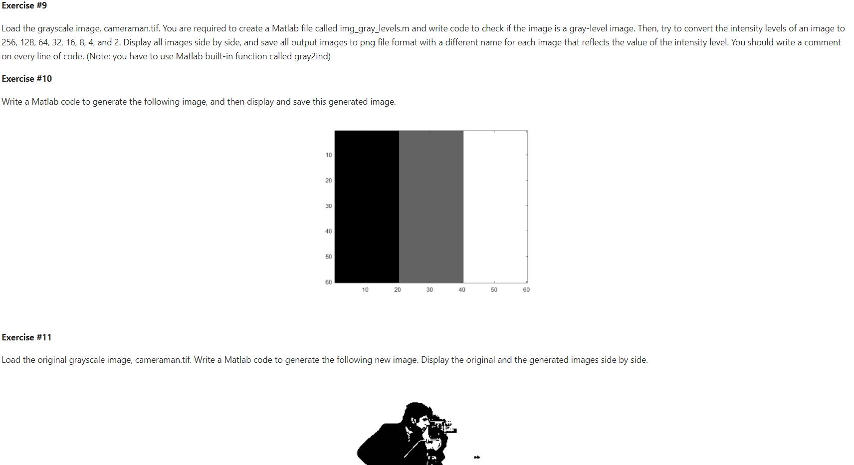 Solved Exercise #9 Load the grayscale image, cameraman.tif. | Chegg.com