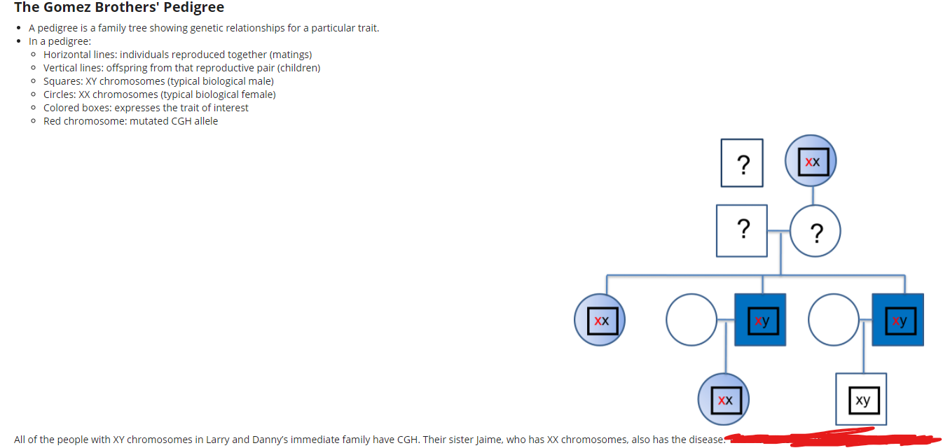 Solved The Gomez Brothers' Pedigree • A pedigree is a family | Chegg.com