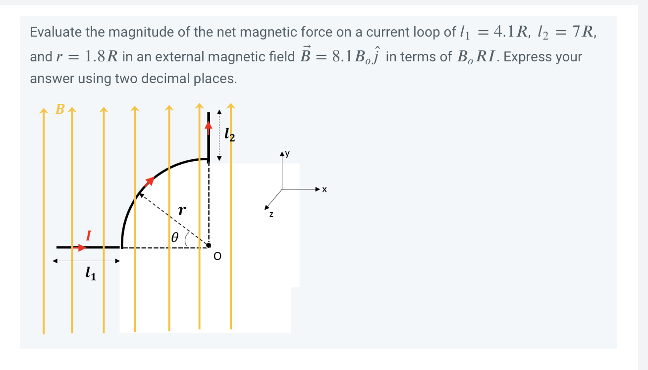 Evaluate The Magnitude Of The Net Magnetic Force On A