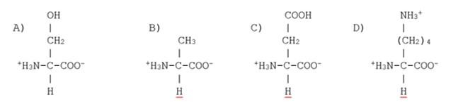 Solved Study the side chains (R-groups) of the following | Chegg.com
