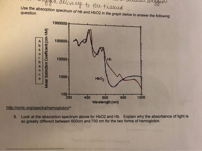 Solved Use the absorption spectrum of Hb and HbO2 in the | Chegg.com