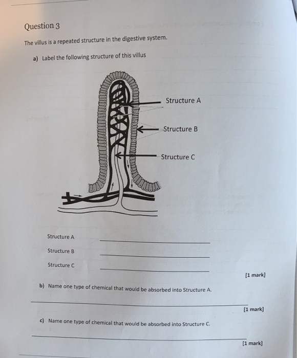 Solved Question 3 The villus is a repeated structure in the | Chegg.com