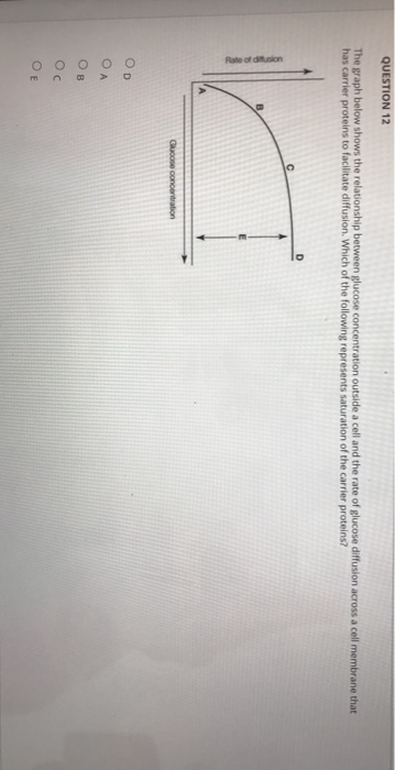 Solved QUESTION 12 The graph below shows the relationship | Chegg.com