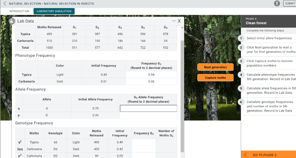 NATURAL SELECTION. NATURAL SELECTION IN INSECTS | Chegg.com