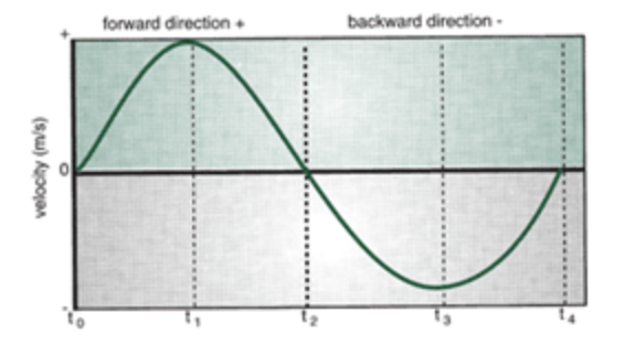 Solved During a 10m shuttle run with the velocity shown in | Chegg.com