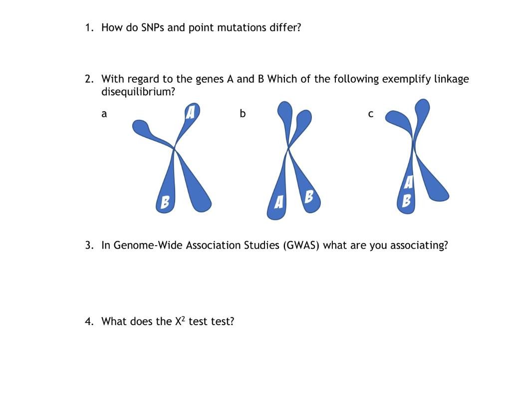 Solved 1. How do SNPs and point mutations differ? 2. With | Chegg.com