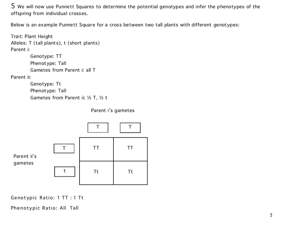5 We will now use Punnett Squares to determine the | Chegg.com