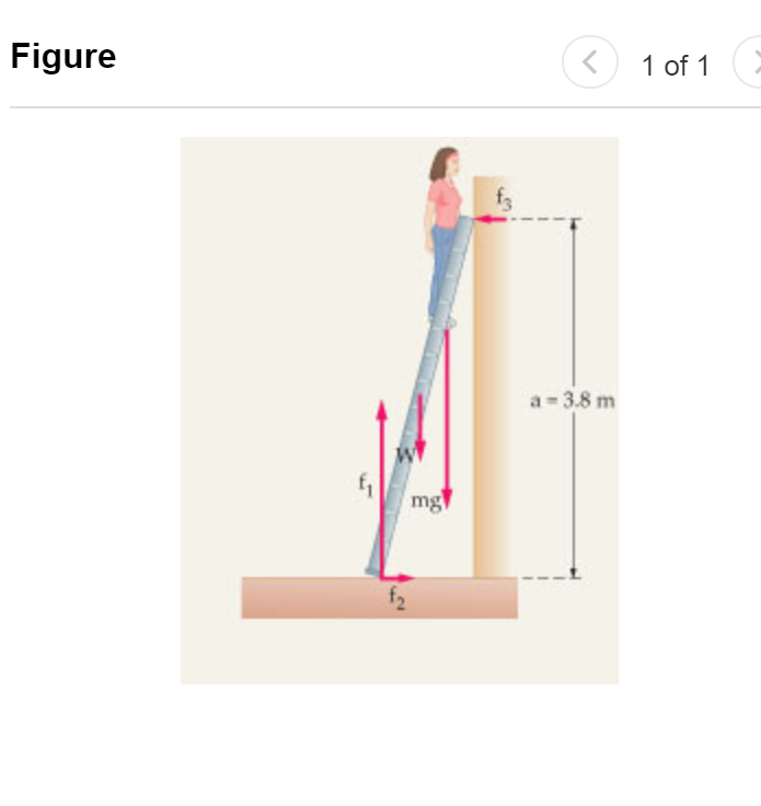 Solved An 88 kg person stands on a uniform ladder 4.0 m | Chegg.com Solved An 88 kg person stands on a uniform ladder 4.0 m | Chegg.com