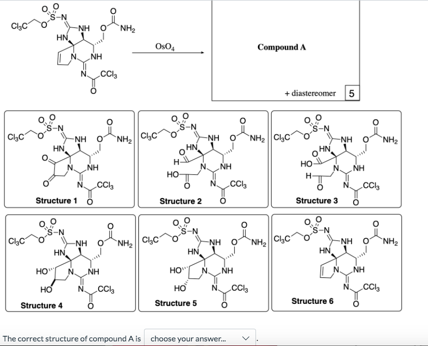 Solved 0 S-N Cl2C -ΝΗ Ο 0 NH2 ΗΝ. OsO4 Compound A N NH N CCI | Chegg.com