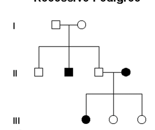 Solved The ability to taste the bitter compound PTC is due | Chegg.com