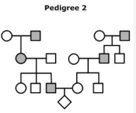 Solved Pedigree 2 is an autosomal dominant pedigree. Sort | Chegg.com