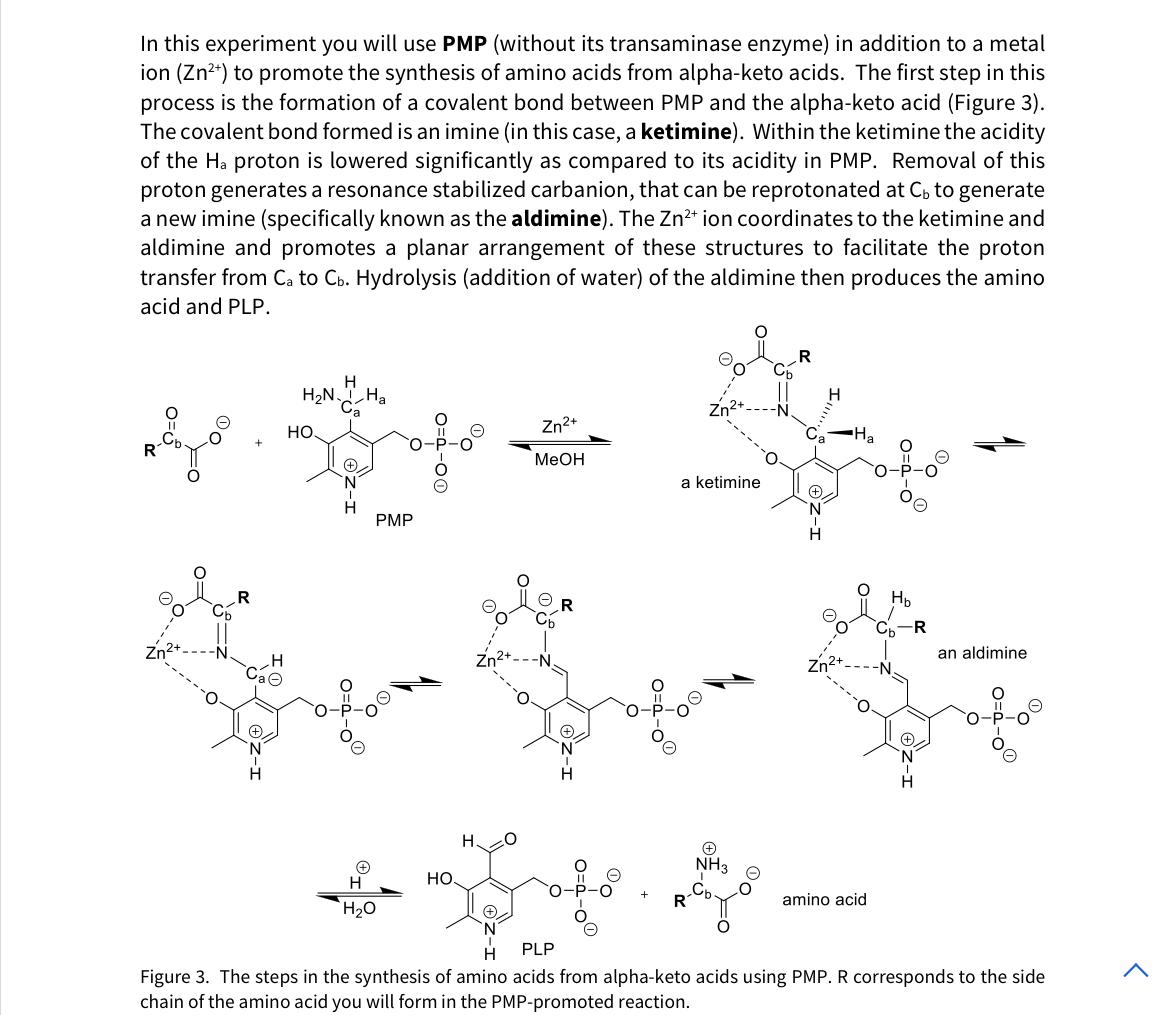 Provide the reaction scheme and mechanism of the | Chegg.com