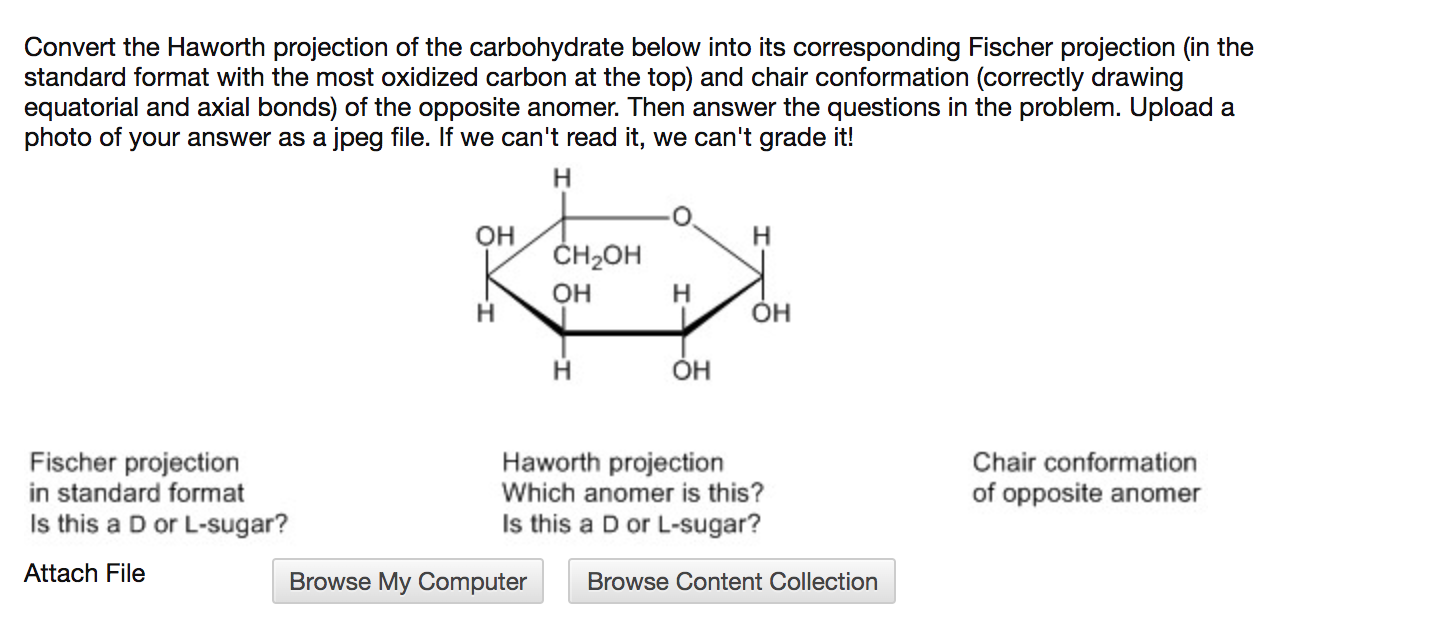 Solved Convert the Haworth projection of the carbohydrate | Chegg.com