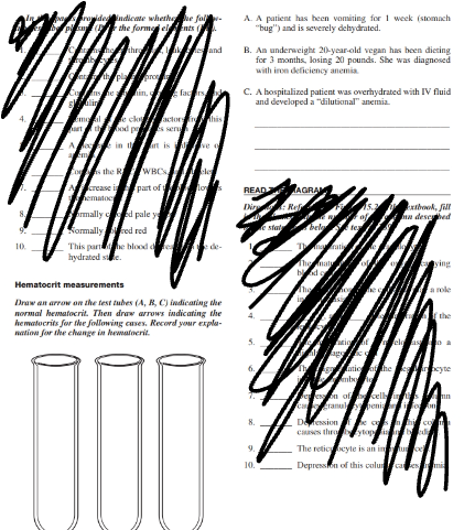 Solved Hematocrit measurements Draw an arrow on the test | Chegg.com