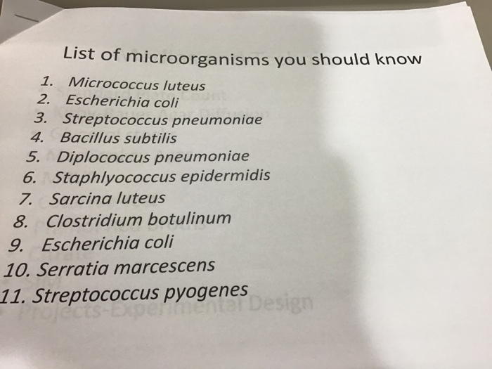 Solved List of microorganisms you should know 1. Micrococcus | Chegg.com
