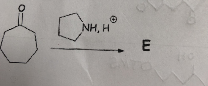 Solved NH2NH2, KOH 0 从 H ONH2OH, NH2OH, H H30 | Chegg.com