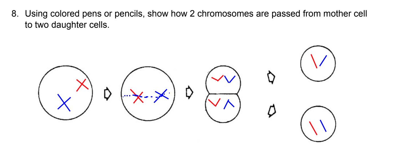Solved Can you please explain this drawing? Why was it drawn | Chegg.com
