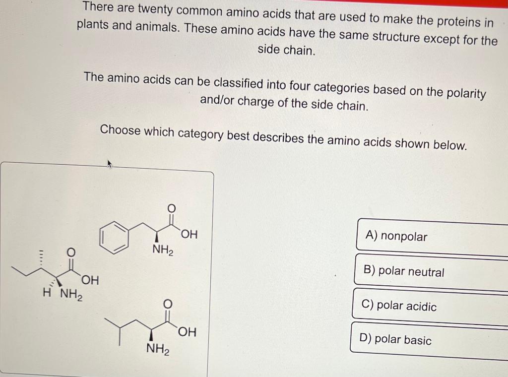 Solved Proteins have complex three-dimensional structures. | Chegg.com