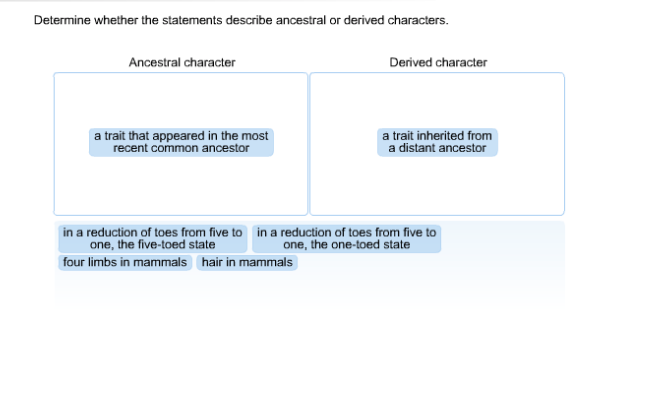 Solved Determine whether the statements describe ancestral | Chegg.com