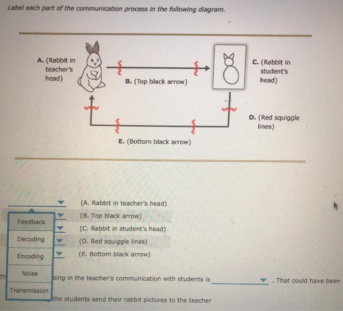 How To Draw A Rabbit And Label