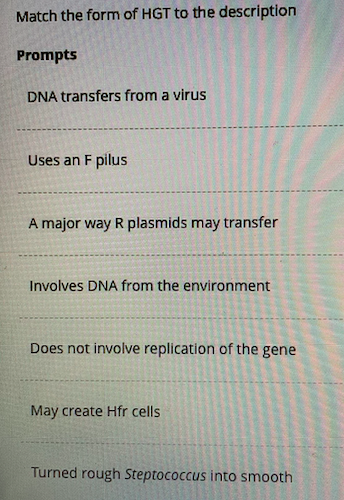 Solved Match the form of HGT to the description Prompts DNA | Chegg.com