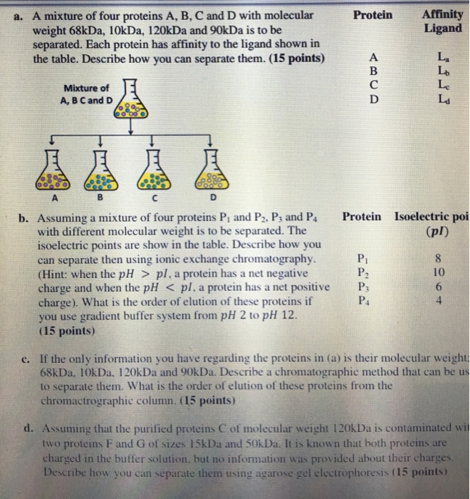 Solved Protein Affinity Ligand A mixture of four proteins A, | Chegg.com