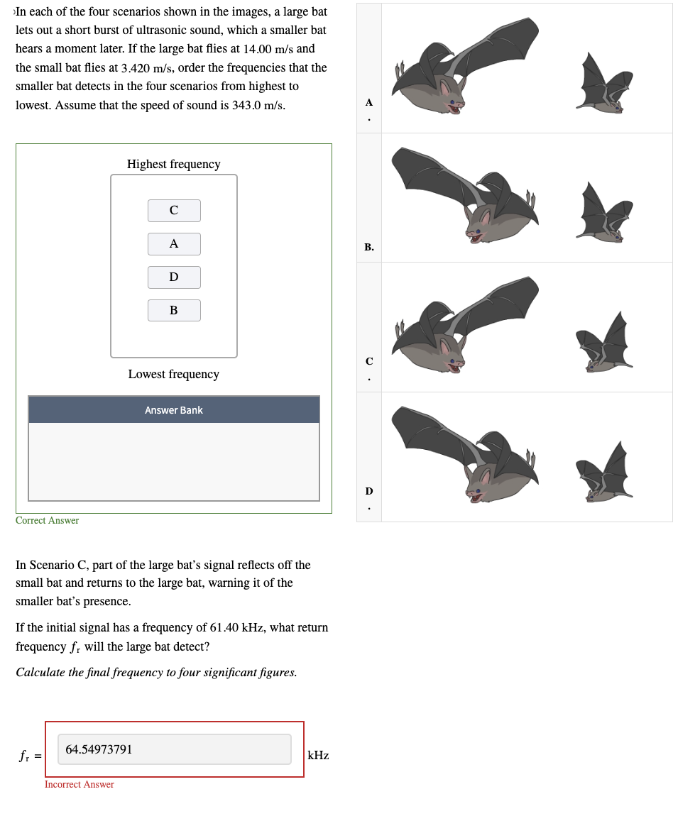 Solved Can I get some help on these physics 2 ﻿questions? | Chegg.com