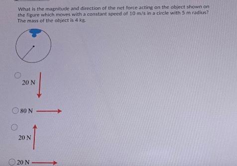 Solved What is the magnitude and direction of the net force | Chegg.com