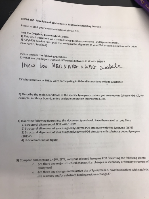 CHEM 360: Principles of Biochemistry. Molecular | Chegg.com