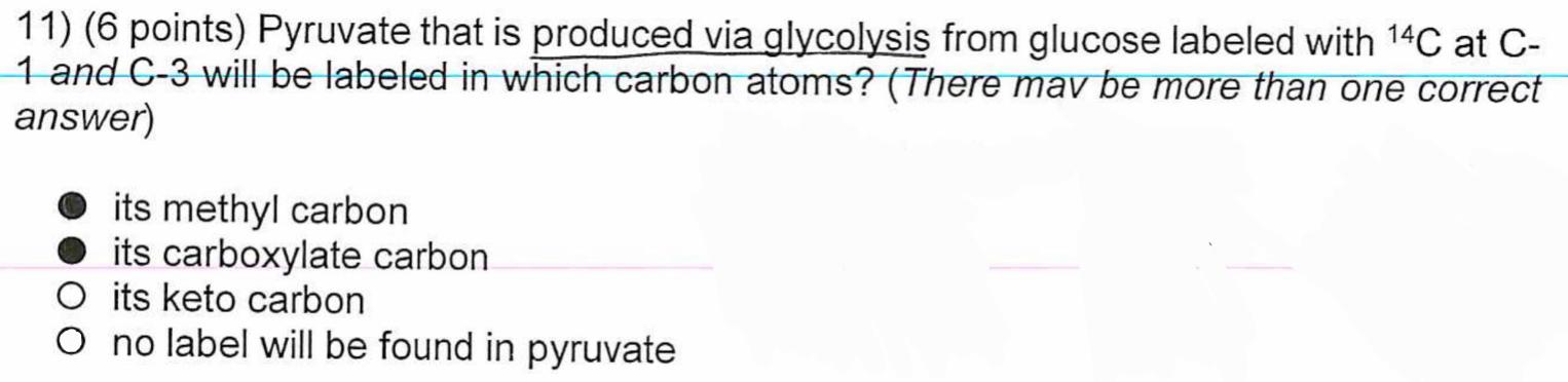 Solved Pyruvate that is produced via glycolysis from glucose | Chegg.com