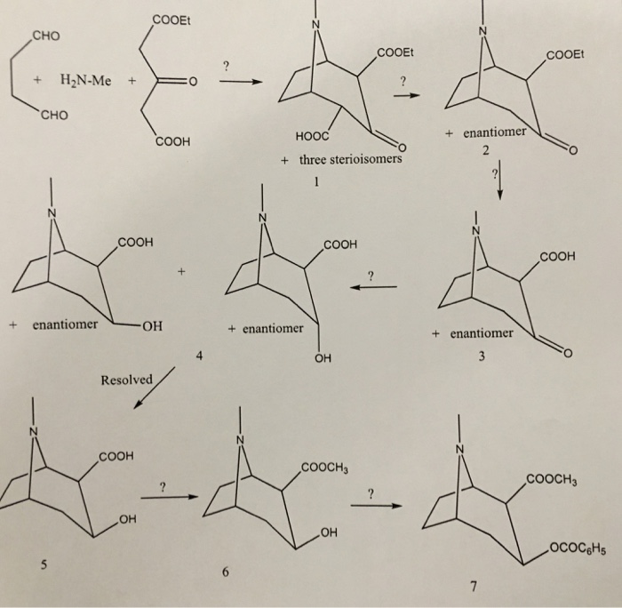 Solved Complete the reaction and add the necessary reagents | Chegg.com