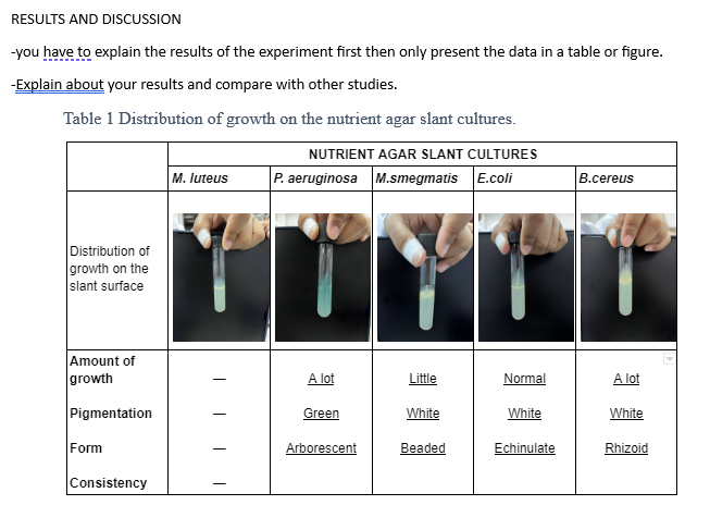 Solved RESULTS AND DISCUSSION you have to explain the | Chegg.com