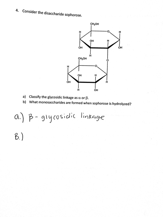 Solved 4. Consider the disaccharide sophorose. 0 OH OH a) b) | Chegg.com