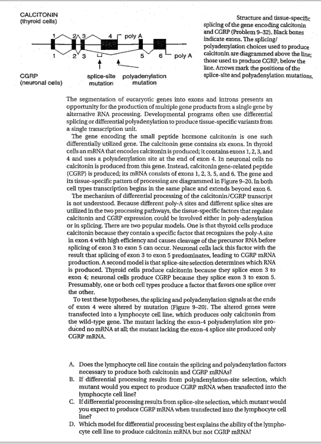 Solved Structure and tissue-specific splicing of the gene | Chegg.com