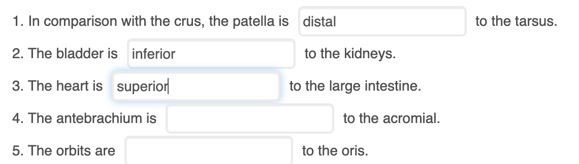 1. In comparison with the crus, the patella is to the | Chegg.com
