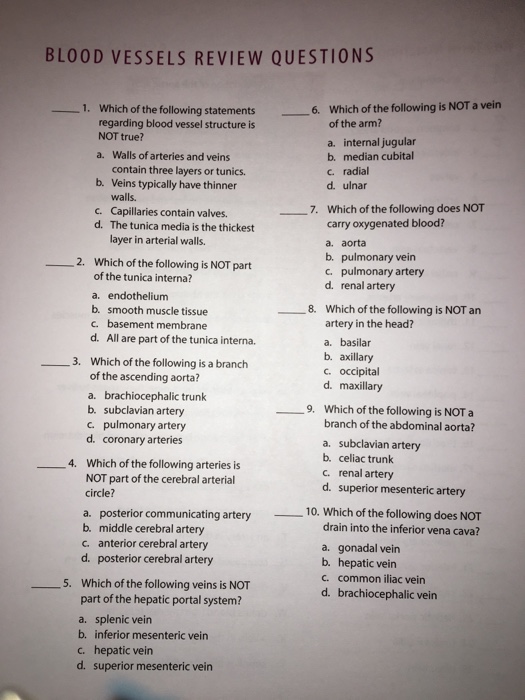 Solved BLOOD VESSELS REVIEW QUESTIONS -1, which of the | Chegg.com