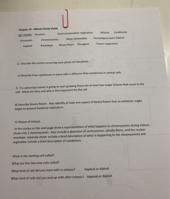 Solved Chapter 10 - Mitosis Study Guide Semi-conservative | Chegg.com