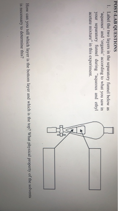 Solved POST-LAB QUESTIONS 1. Label the two layers in the | Chegg.com