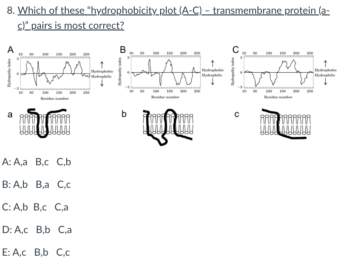Solved 1. Which of the following size relationships is | Chegg.com