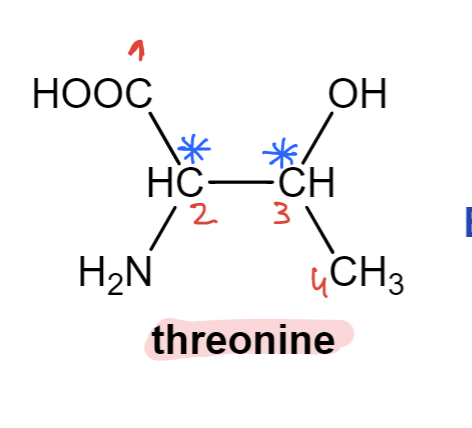Solved Organic Chem: Show all of the R and S configurations | Chegg.com
