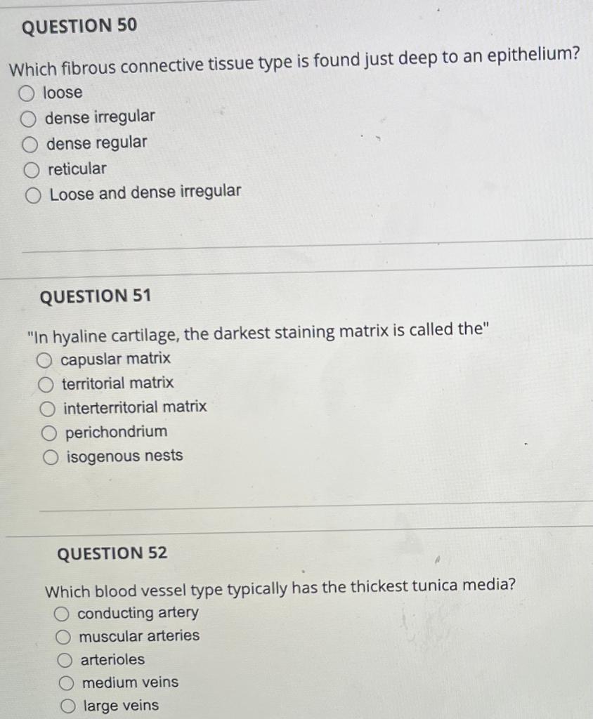 Solved Which fibrous connective tissue type is found just | Chegg.com