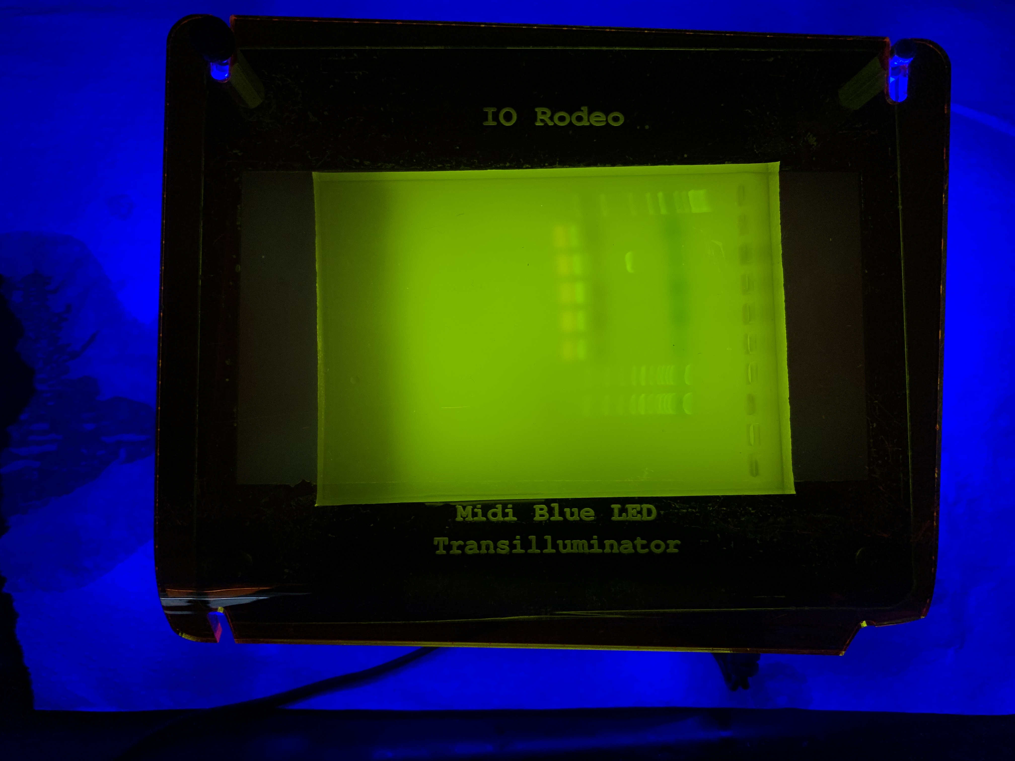 Solved Analyze your results. Your analysis must include:- | Chegg.com