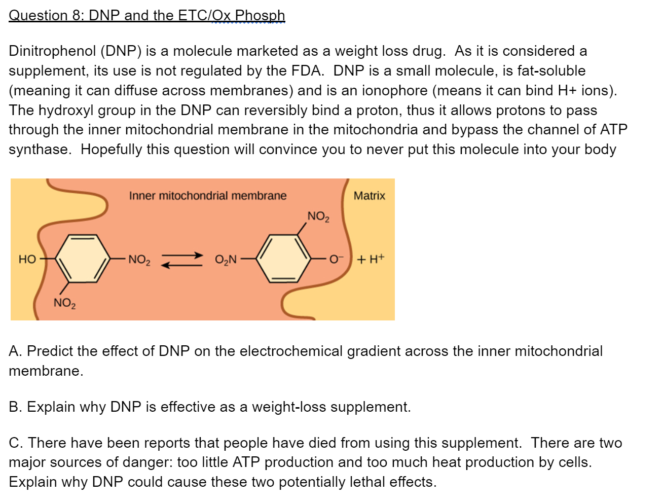 Solved Question 8: DNP and the ETC/Ox Phosph Dinitrophenol | Chegg.com