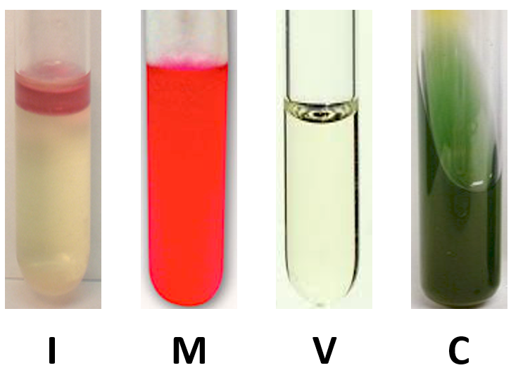 Solved I MVC M С | Chegg.com