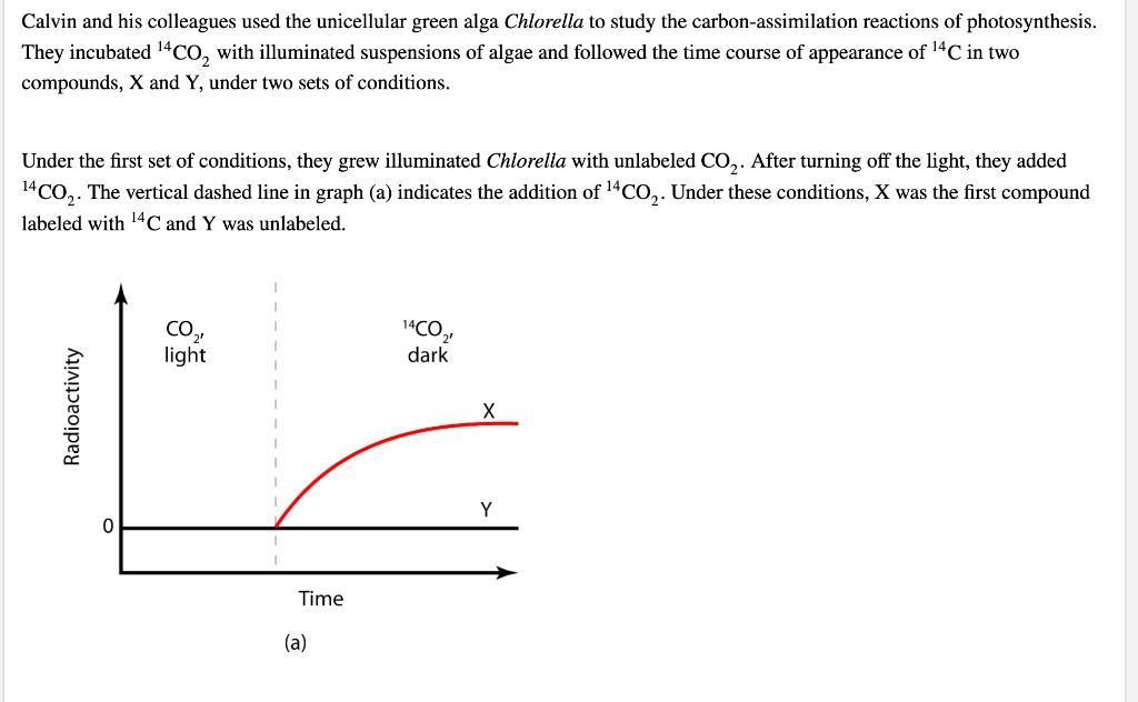 Solved 6. Calvin and his colleagues used the unicellular | Chegg.com