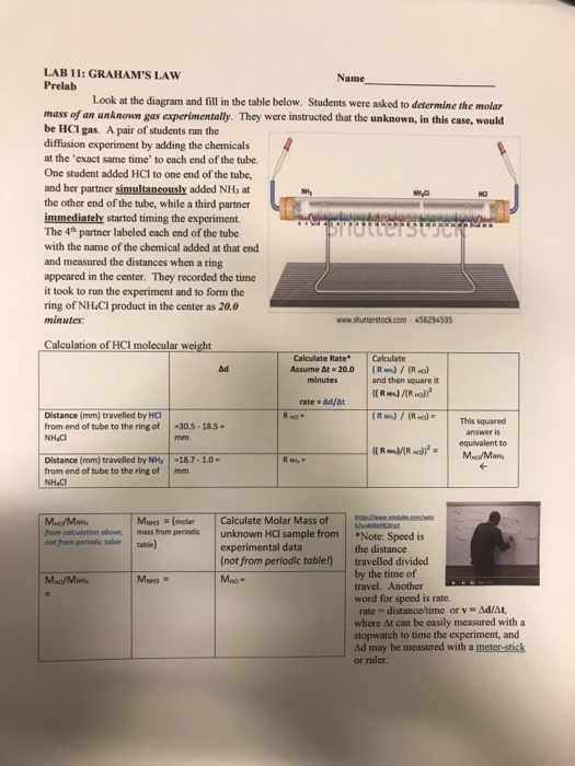 Solved LAB 11: GRAHAM'S LAW Prelab Look at the diagram and | Chegg.com