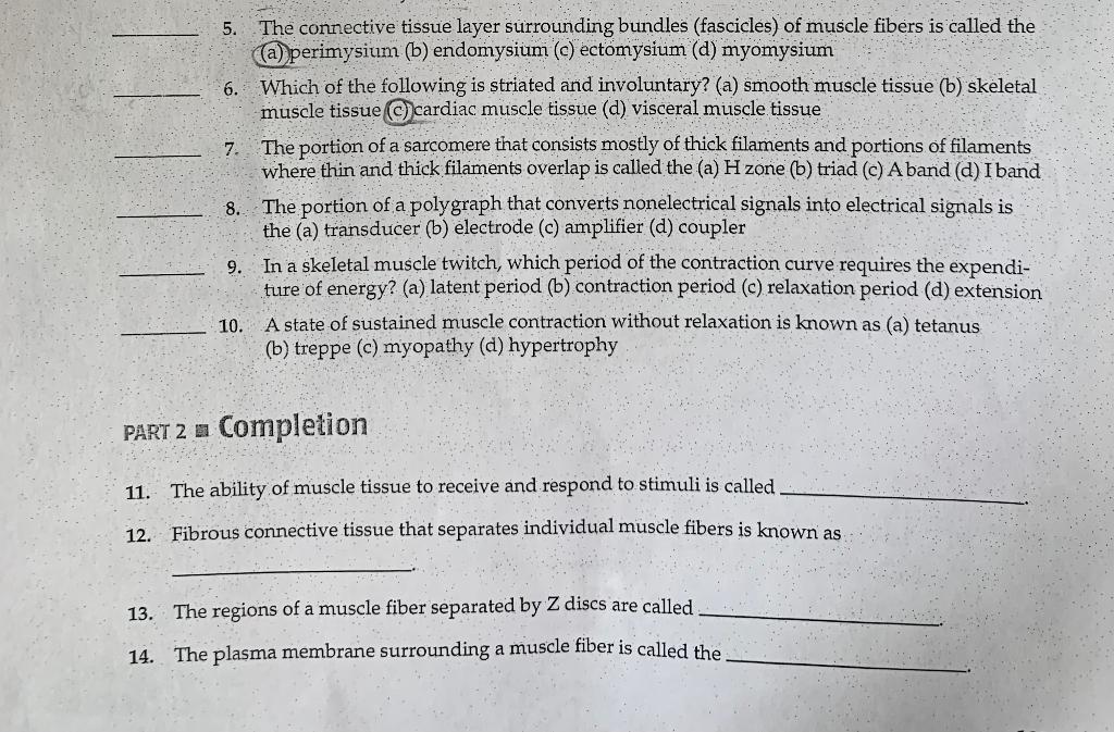 Solved LO 6. The connective tissue layer surrounding bundles | Chegg.com