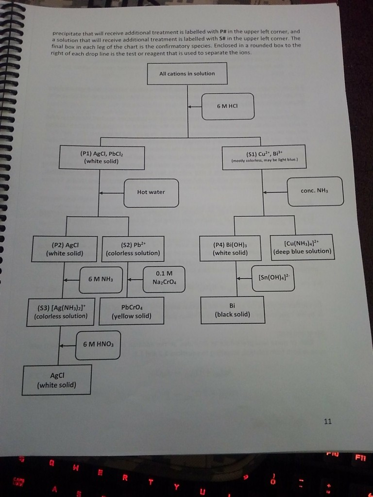 Solved Need an Introduction to a report about the | Chegg.com